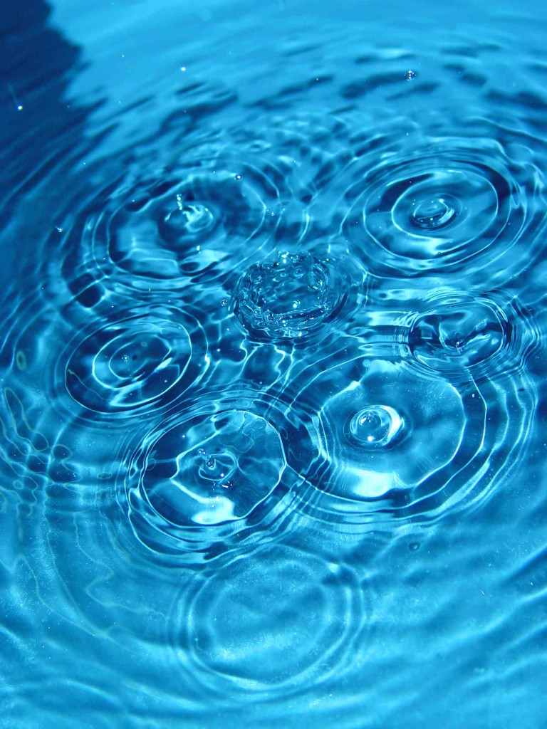 water-rings | Wisconsin Innovation Awards